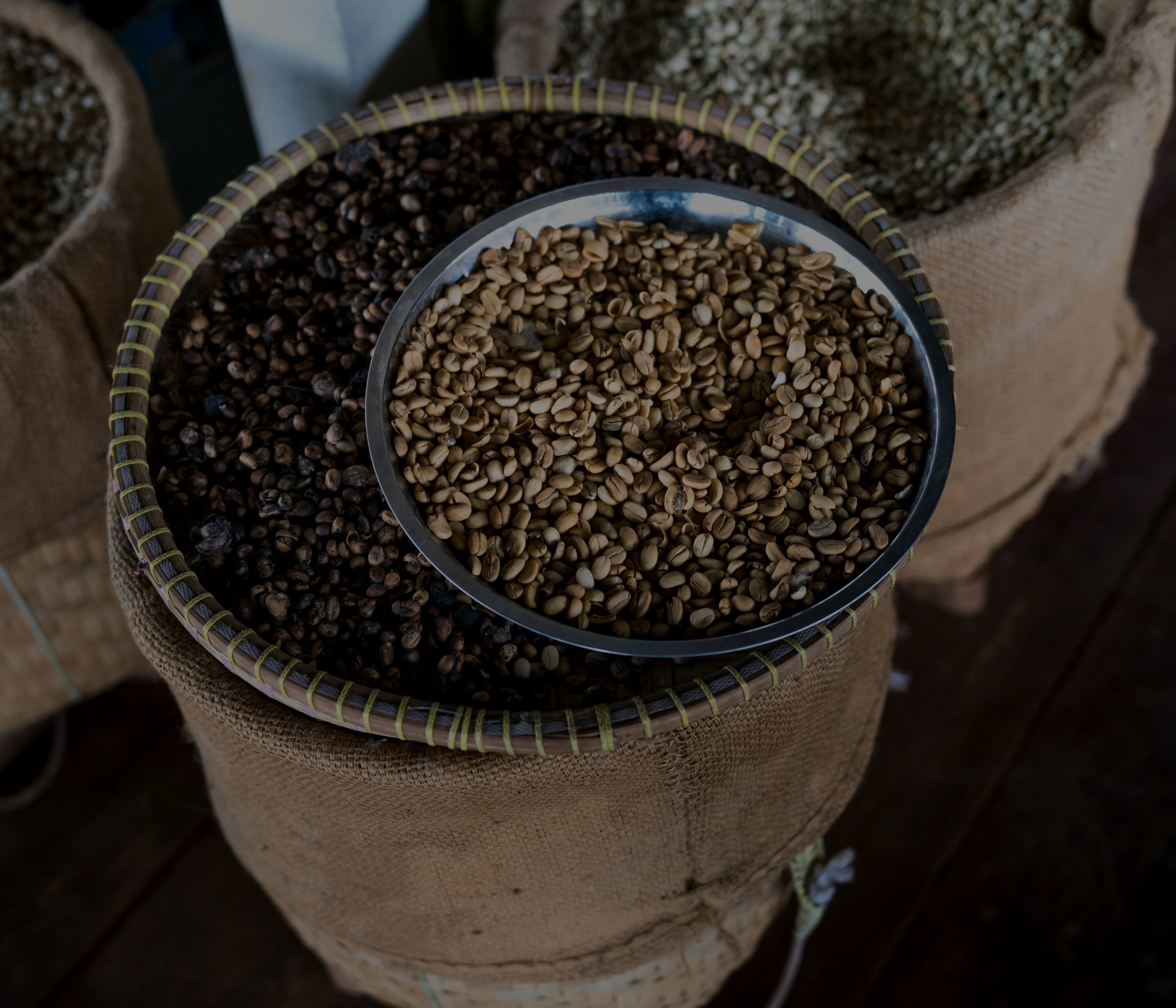 Featured Coffee Blends – FIX COFFEE BRAND